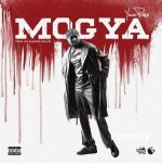 DOWNLOAD: Yaa Pono – Mogya | Hitz360.com