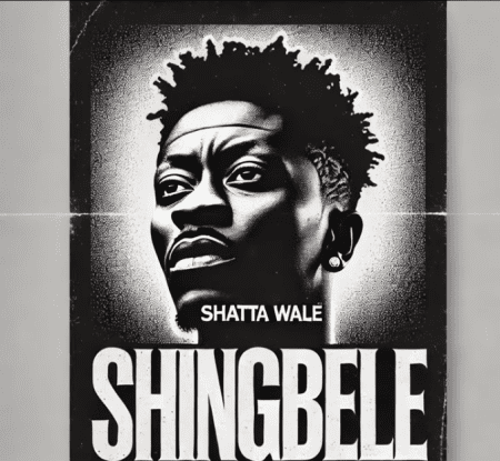DOWNLOAD: Shatta Wale - Shingbele | Hitz360.com