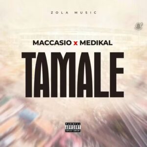 DOWNLOAD: Maccasio – Tamale Ft. Medikal | Hitz360.com