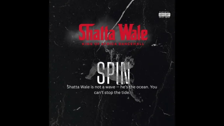 Download Mp3: Shatta Wale - Spin | Hitz360.com
