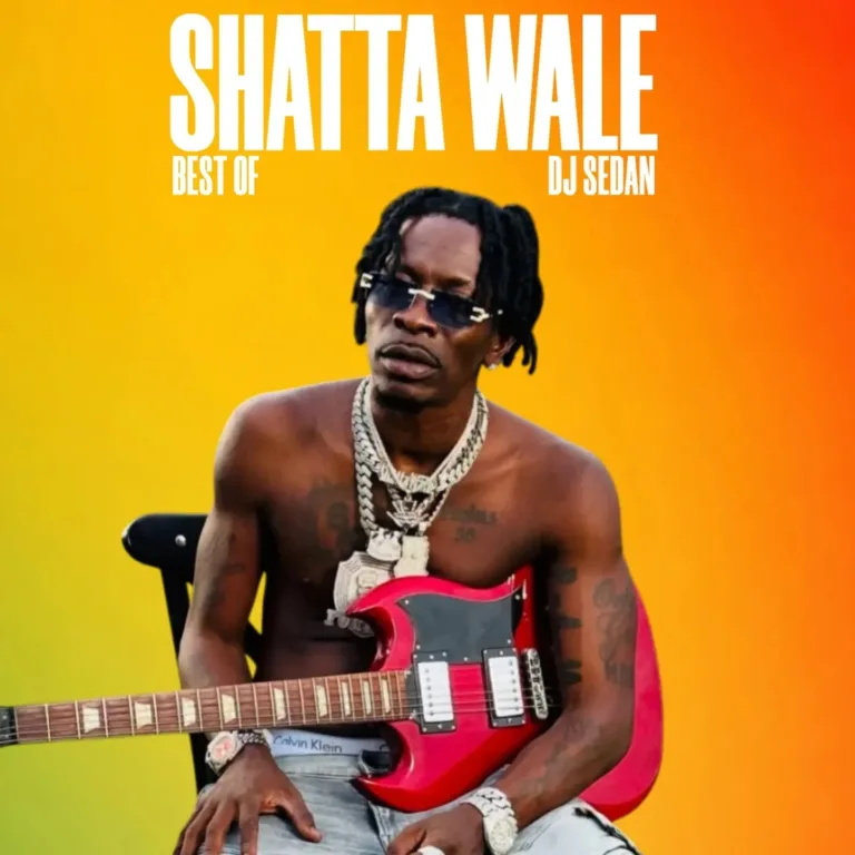 DOWNLOAD: DJ Sedan - Best Of Shatta Wale (Dancehall Hitz Mix) | Hitz360.com