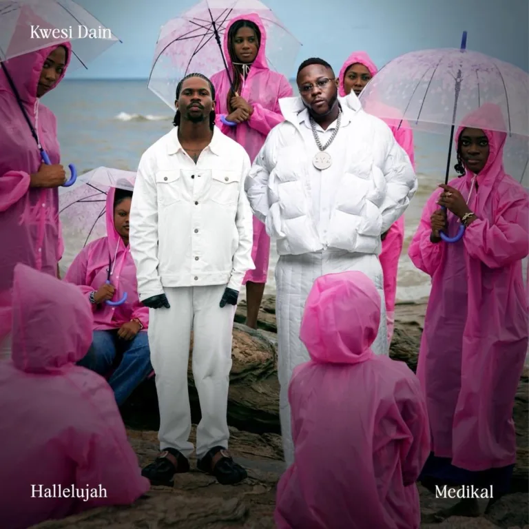 Download Mp3: Kwesi Dain - Hallelujah ft. Medikal | Hitz360.com